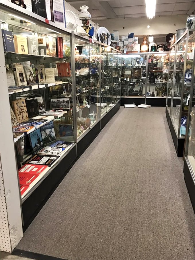 Glass display cases stretching into infinity, each shelf a museum of miniature treasures waiting to be discovered and cherished anew.
