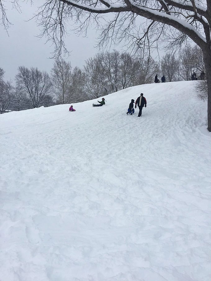 Winter in Champaign means impromptu sledding parties on snow-covered hills &ndash; no fancy equipment required, just gravity and childlike abandon.