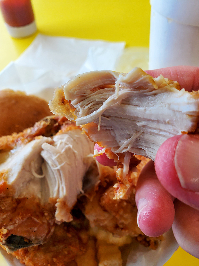 The moment of truth&mdash;tender, juicy chicken that pulls apart in layers. This isn't just cooked; it's chicken achieving its highest purpose.