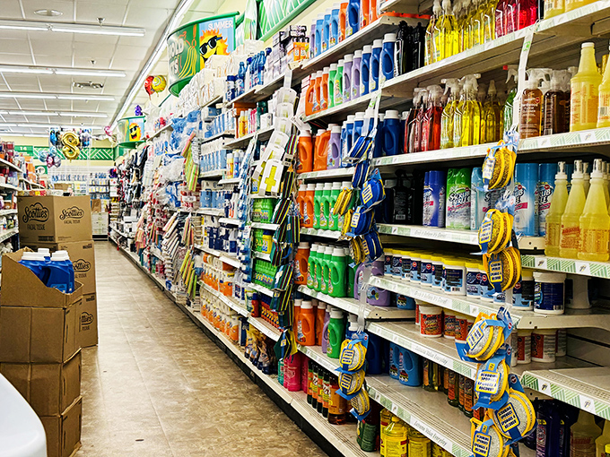 The cleaning product aisle: a rainbow of solutions for every household disaster, from "oops" to "what was I thinking?"