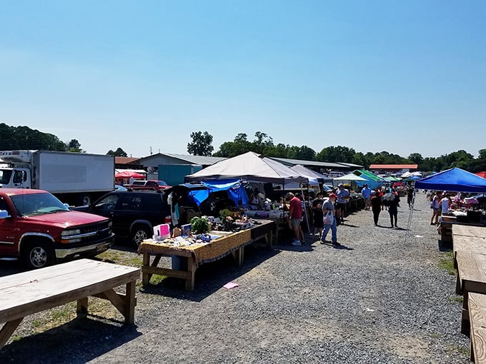 The golden hour casts its magic on Big D's outdoor tables. Even the most ordinary items look like treasures in this light.