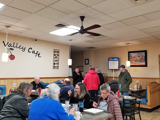 The dining room hums with conversation and caffeine, where regulars have been solving the world's problems over breakfast for years.