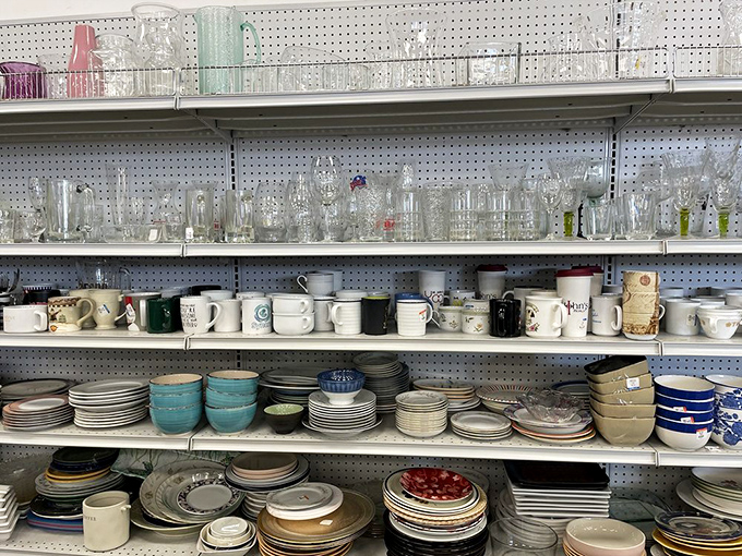 Dish department dreams come true when you find that perfect missing piece to your grandmother's set or the quirky mug that becomes your morning companion.