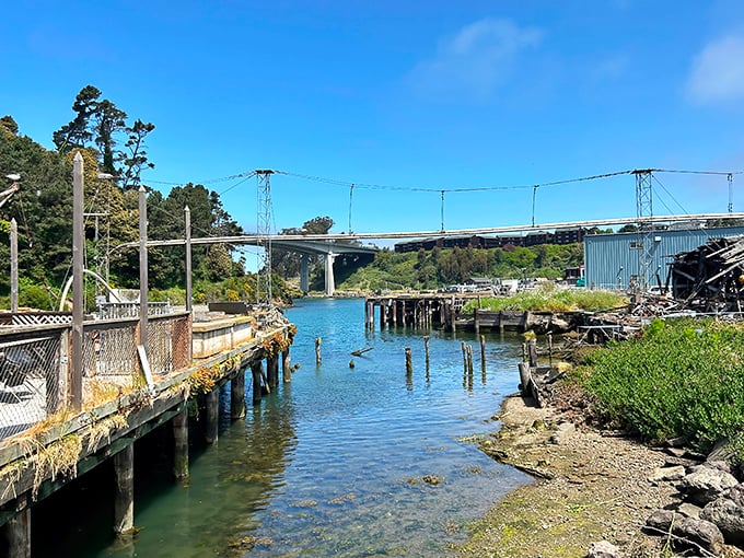 The working harbor view that explains everything about the freshness. Where your lunch likely arrived by boat just hours before meeting the fryer.