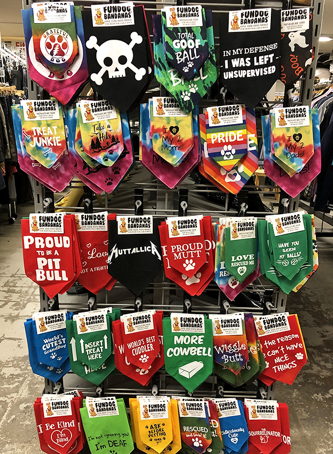 Dog bandanas with personality to spare. Because your four-legged friend deserves fashion choices that match their unique attitude and questionable life choices.