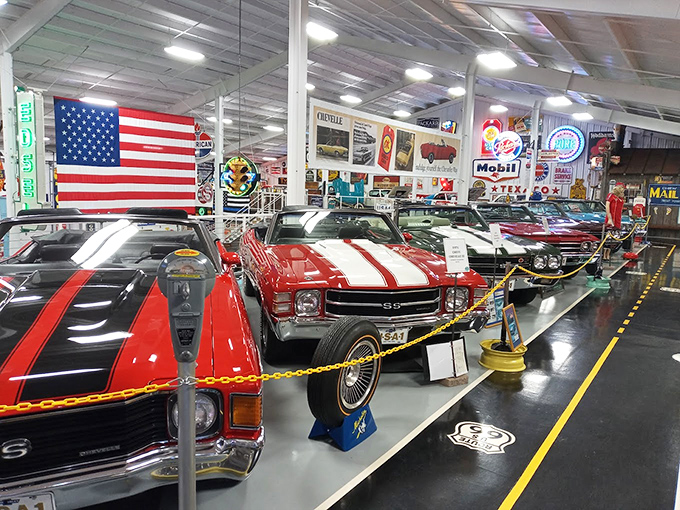 Classic American muscle cars gleam under showroom lights at the Eagles Mere Auto Museum &ndash; a chrome-filled paradise that makes baby boomers misty-eyed with automotive nostalgia.