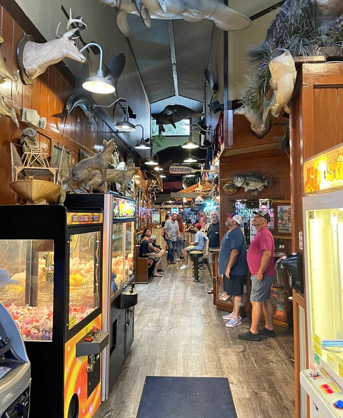 A hallway of Florida treasures &ndash; taxidermy, arcade games, and enough local character to fill a novel or at least a colorful memoir. 