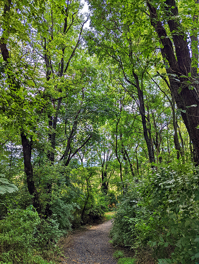 Community parks like this remind us that simple pleasures often provide the most lasting childhood memories.