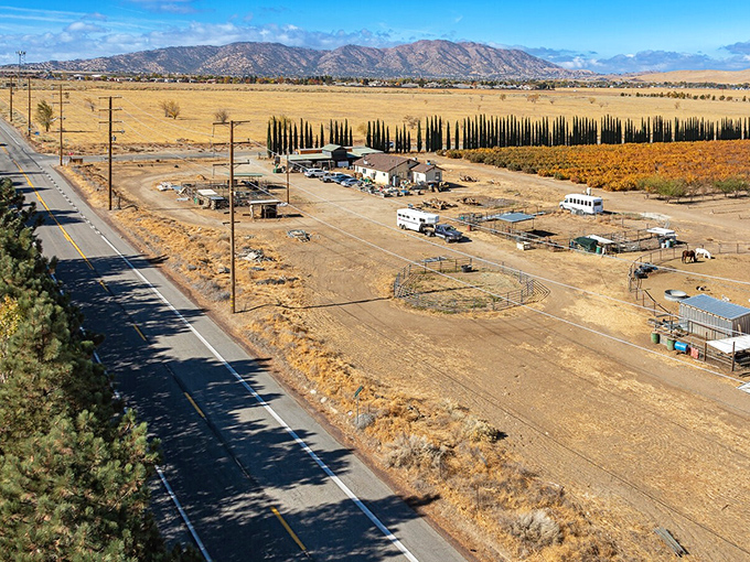 The high desert meets agriculture in Tehachapi Valley, where family farms still exist without becoming Instagram backdrops for city folks.