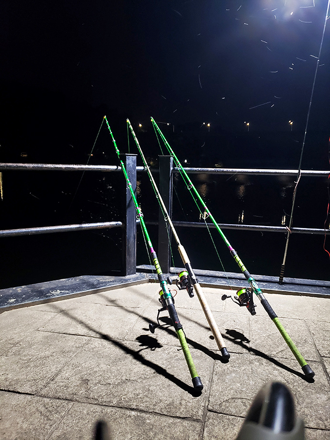 Night fishing along the Monongahela – where modern green rods create their own constellations against the dark river waters.