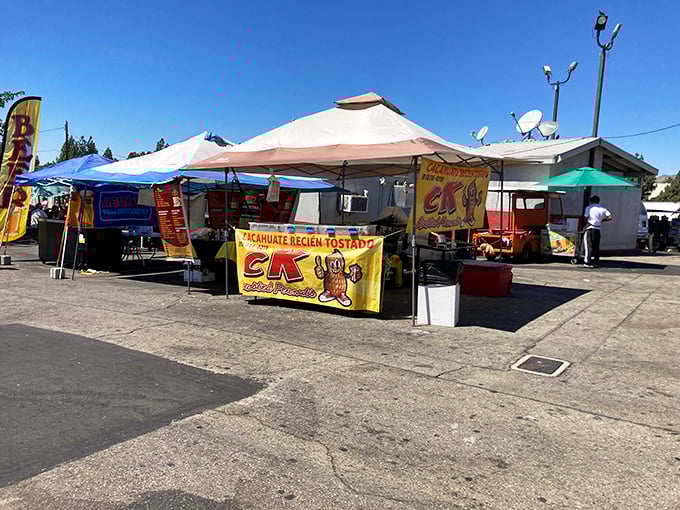 Follow your nose to food vendor heaven. These taco stands and food booths serve up authentic flavors that make chain restaurants seem like sad imitations.