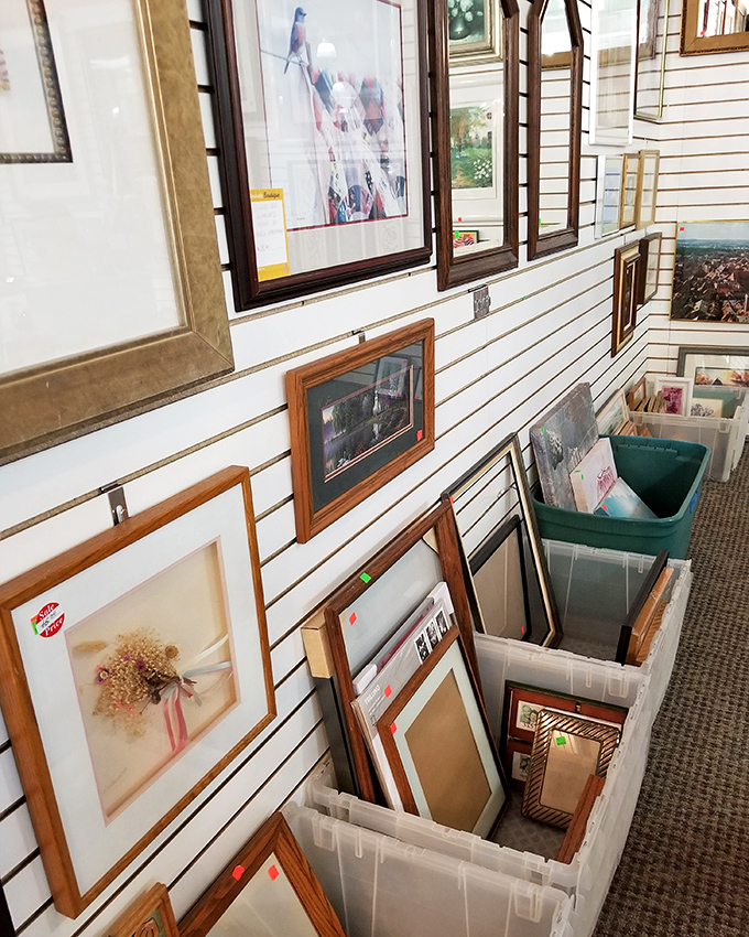 An art lover's treasure trove where framed pieces wait for their second act. That dried flower arrangement? Pure '90s nostalgia in the best possible way.