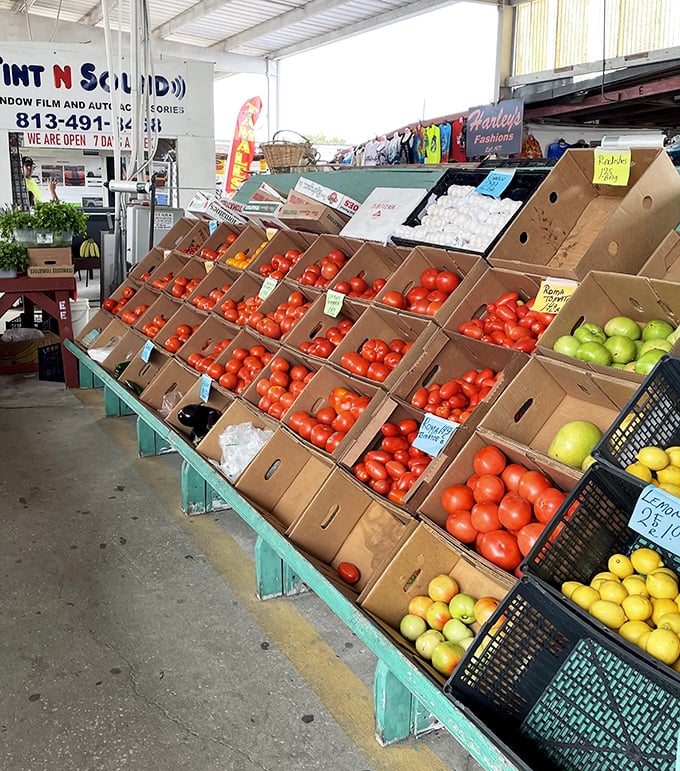 Farm-fresh tomatoes arranged with mathematical precision. Nothing beats Florida produce that traveled miles instead of time zones to reach your shopping bag.