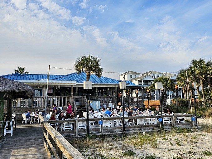Where the locals eat and the tourists want to be. The Blue Parrot's deck fills with happy diners as the day unfolds.