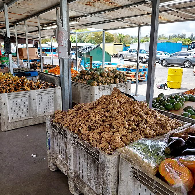 Tropical bounty piled high like edible sculptures. Those pineapples are having a better hair day than most of us on this humid Miami morning.