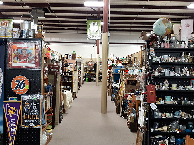 Every aisle offers a new vista of discovery, where one person's past becomes another person's future conversation piece.