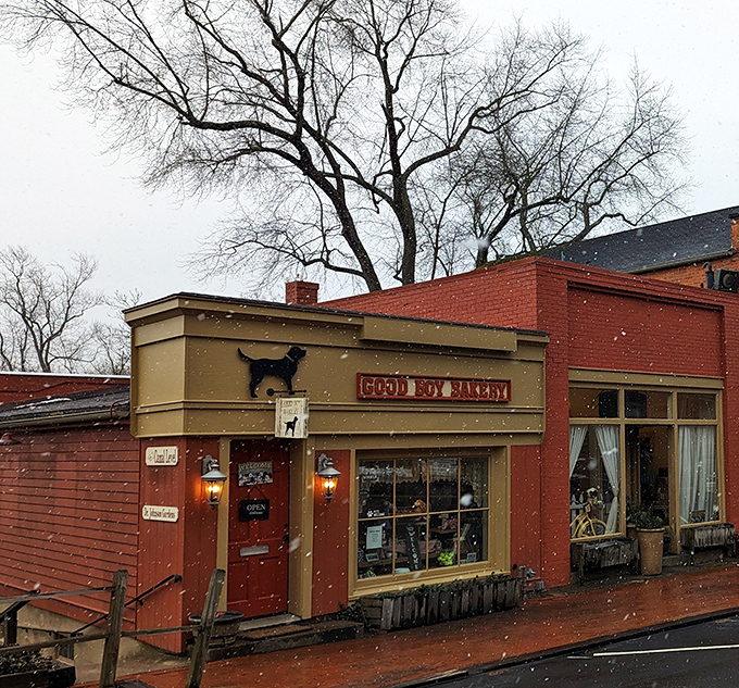 Good Boy Bakery - Local bakeries with character beat chain stores every time, especially when homemade goodness calls your name.