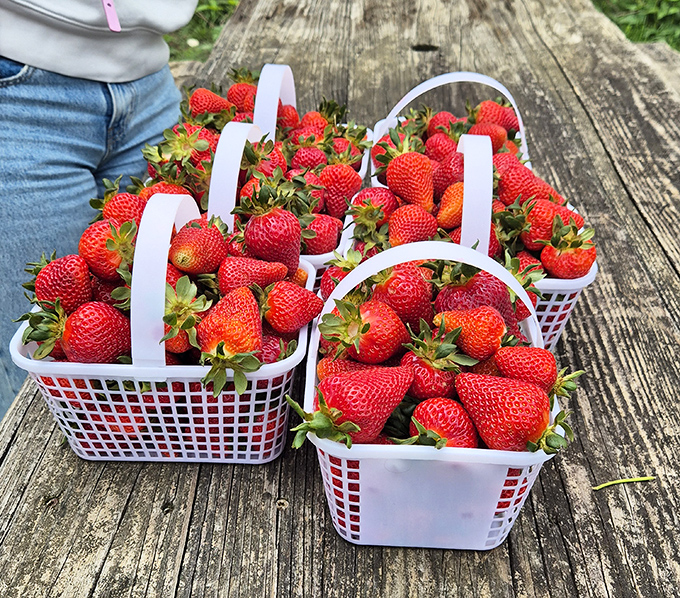 These strawberries aren't just red &ndash; they're "wake up your taste buds and remember what fruit is supposed to taste like" red.