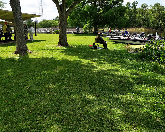 Golden hour transforms ordinary walking paths into magical journeys through a landscape that never needs a filter.