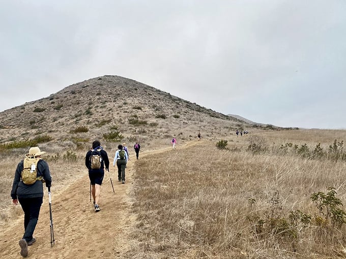 Hikers traverse golden California hills on trails that promise ocean views as the ultimate reward for every drop of effort.