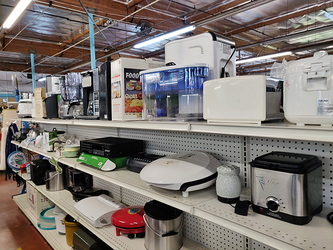 Kitchen appliances in suspended animation &ndash; rice cookers, coffee makers, and toasters hoping for their triumphant return to active duty.