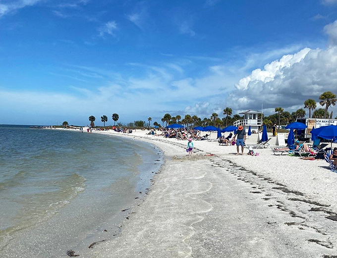Howard Park Beach delivers that perfect Florida moment: gentle waves, powdery sand, and enough space to spread out without feeling like sardines.