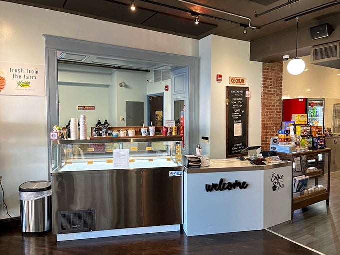 The welcoming counter that says, "Yes, adults can have ice cream for lunch." Those stainless steel surfaces gleam with frozen possibilities.