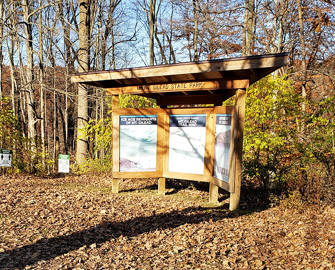 Before GPS and smartphone maps, people actually read these information boards &ndash; a quaint reminder of how we once navigated the world.