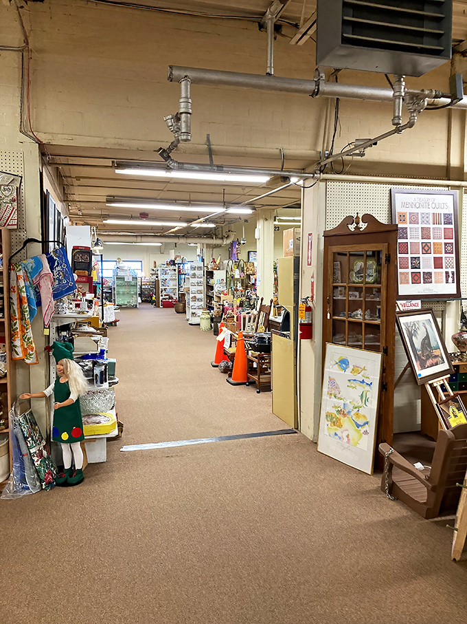 Another corridor of curiosities beckons with its industrial ceiling and warm lighting – the perfect backdrop for discovering that one-of-a-kind conversation piece.