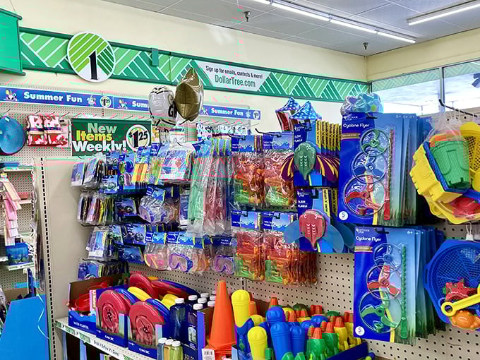 Summer fun central &ndash; where pool noodles, bubbles, and childhood joy come together without parental financial anxiety.