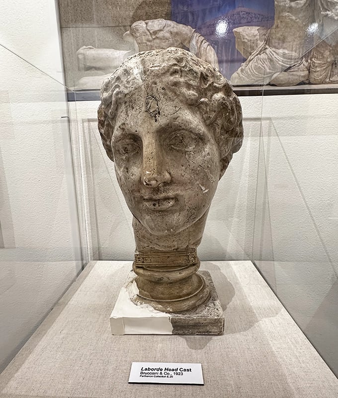 Face to face with history. This classical head cast reveals the delicate craftsmanship that brought stone to life centuries ago.