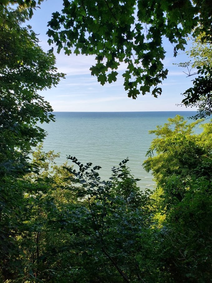 Peek-a-boo views of Lake Erie through the trees are nature's way of playing hard to get. Each glimpse makes you work just enough to appreciate it more.