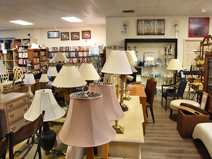 The lamp section: where lighting fixtures of every era gather like contestants at a beauty pageant, waiting for their second chance to shine. 