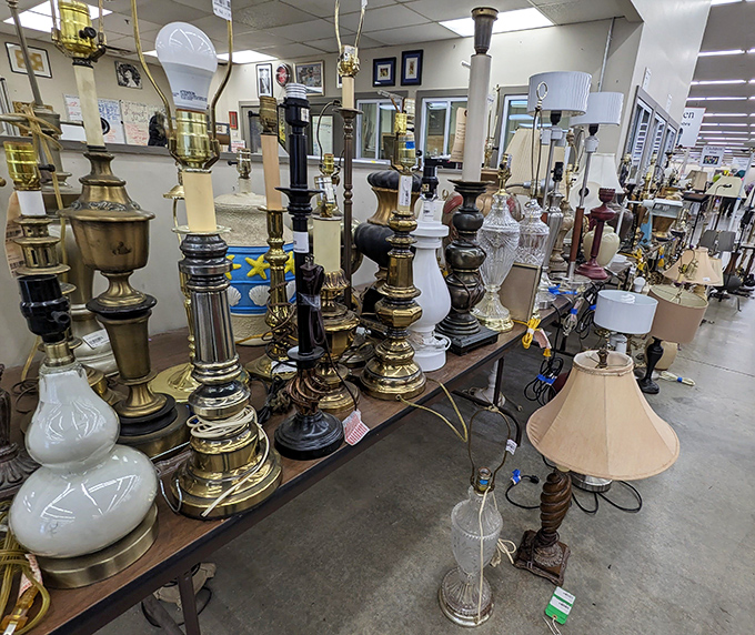 Vintage lamps casting warm glows on bargain hunters who appreciate timeless home lighting solutions.