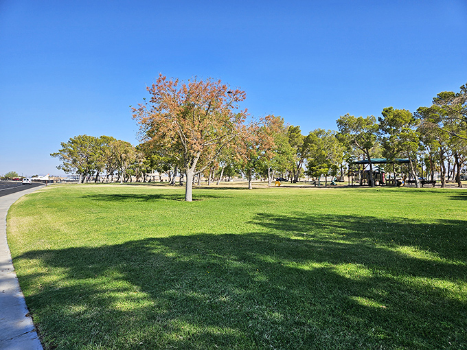Leroy Jackson Park offers an oasis of green in the desert landscape &ndash; where shade becomes the most valuable real estate during summer afternoons.
