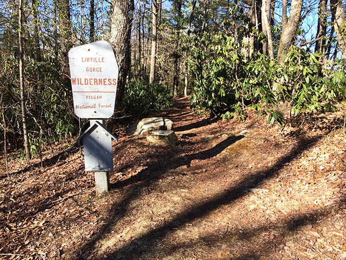 The simple sign marks the boundary between everyday life and wilderness. Step across and feel your blood pressure drop instantly.