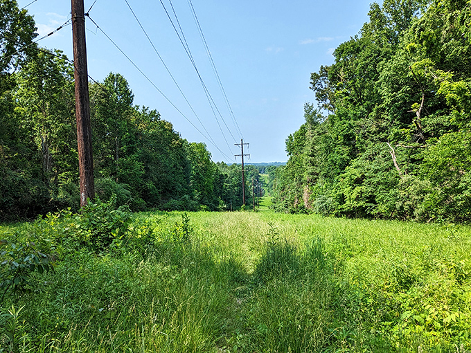 Lirley Trailhead's path beckons with the promise of adventure just beyond the next bend &ndash; no Instagram filter required.