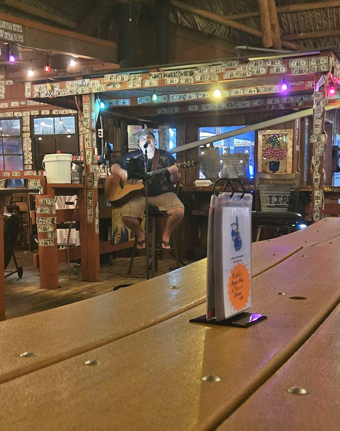 Live music under dollar bills &ndash; where local troubadours provide the soundtrack to your seafood feast. Florida entertainment at its finest.