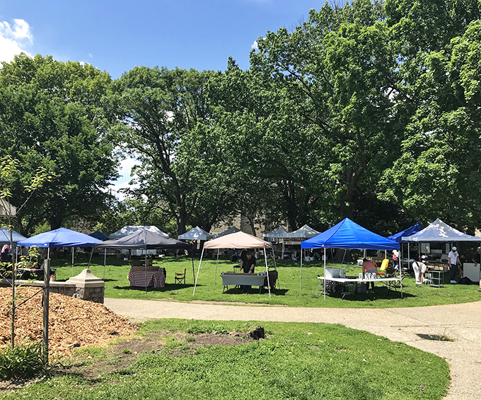 Weekend markets transform Manayunk's green spaces into bustling bazaars where local artisans and farmers showcase their crafts and harvests to appreciative neighbors.