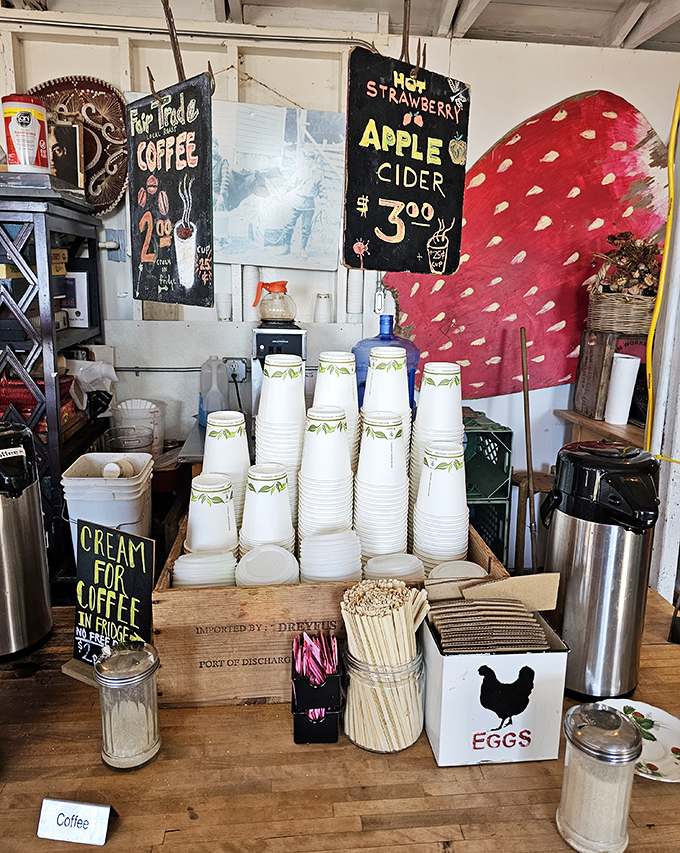 Coffee station simplicity: where paper cups, wooden stir sticks, and honest brew create morning magic without barista attitude.
