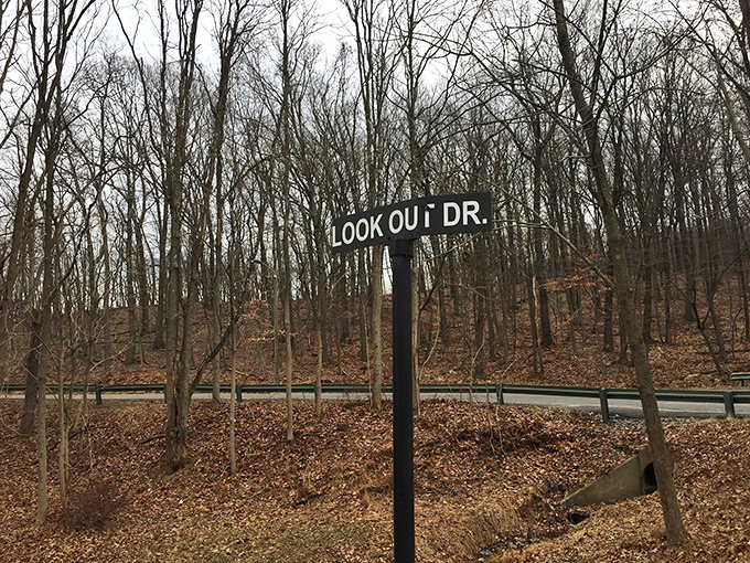 "Look Out Dr." indeed&mdash;this unassuming sign marks the boundary between ordinary streets and extraordinary visions, a perfect name for an adventure in perception.