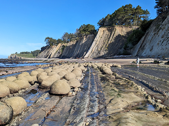 Low tide reveals nature's perfect geometry. These aren't placed by humans&mdash;just millions of years of geological patience creating the impossible.