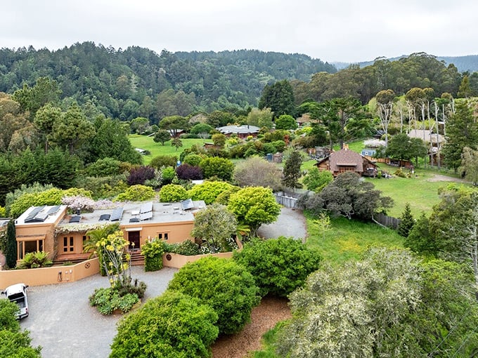 Nature doesn't just surround Bolinas homes, it embraces them in a lush green hug that changes with each season.