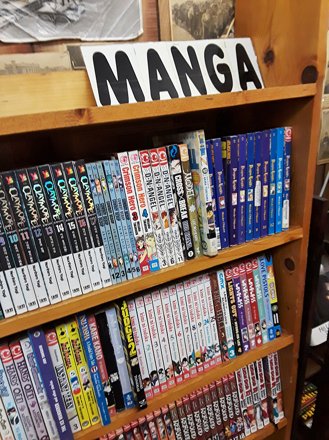 The Manga section offers vibrant Japanese storytelling in neatly organized volumes &ndash; a visual feast that proves some of the most compelling narratives combine words and images.