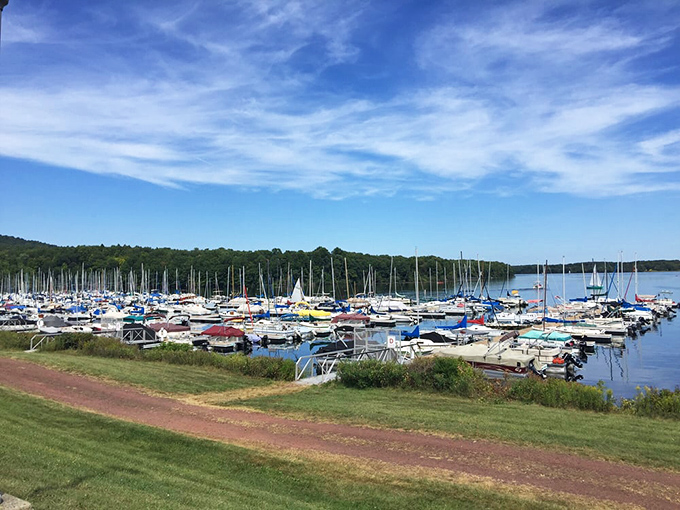 Sailboat symphony! The marina showcases Pennsylvania's inland sailing scene, proving you don't need an ocean to live the nautical dream.
