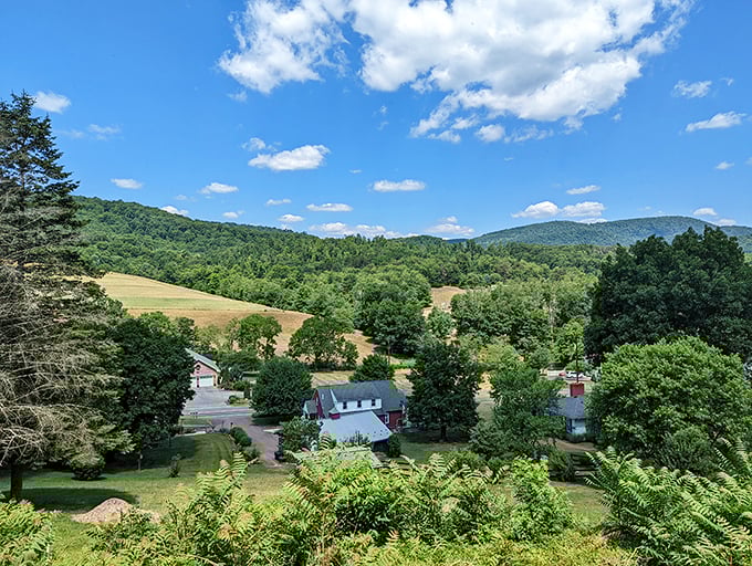 The view from the train reveals a patchwork quilt of American rural life. Each homestead tells its own story as you roll past at a storyteller's pace.