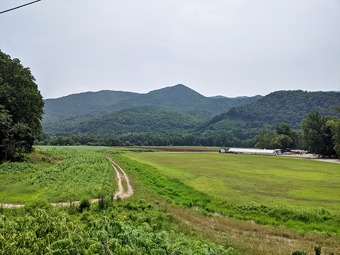 Rolling fields meet mountain majesty in a landscape so perfectly balanced it looks like Mother Nature took a master class in composition.