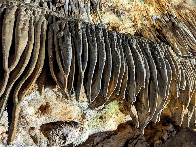 These delicate formations resemble a pipe organ frozen in stone, each one creating its own note in nature's symphony.