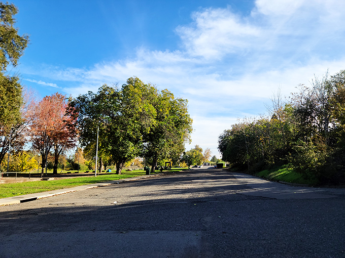 Tree-lined streets with room to breathe &ndash; Red Bluff's neighborhoods offer that increasingly rare commodity in California: peaceful space.