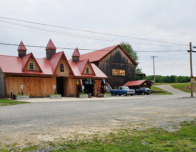 This charming country store near the park looks like it was designed by someone who understood that "rustic" and "welcoming" are perfect partners.